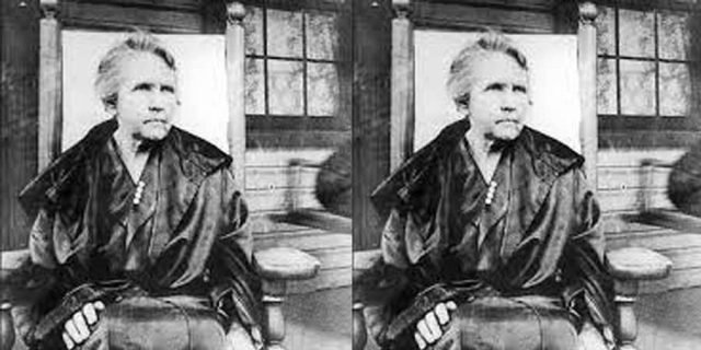 Levicy Chafin Hatfield: All There Is to Know about Devil Anse Hatfield ...