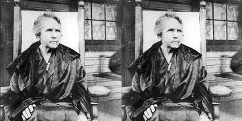 Levicy Chafin Hatfield: All There Is to Know about Devil Anse Hatfield ...